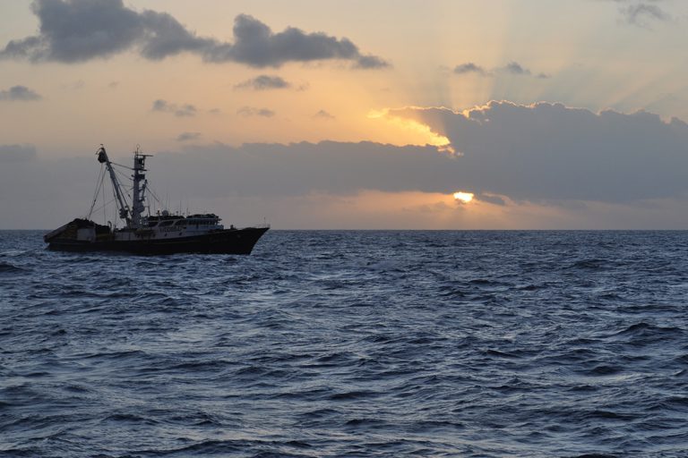 Tri Marine Group – Tuna Supply for Your Business