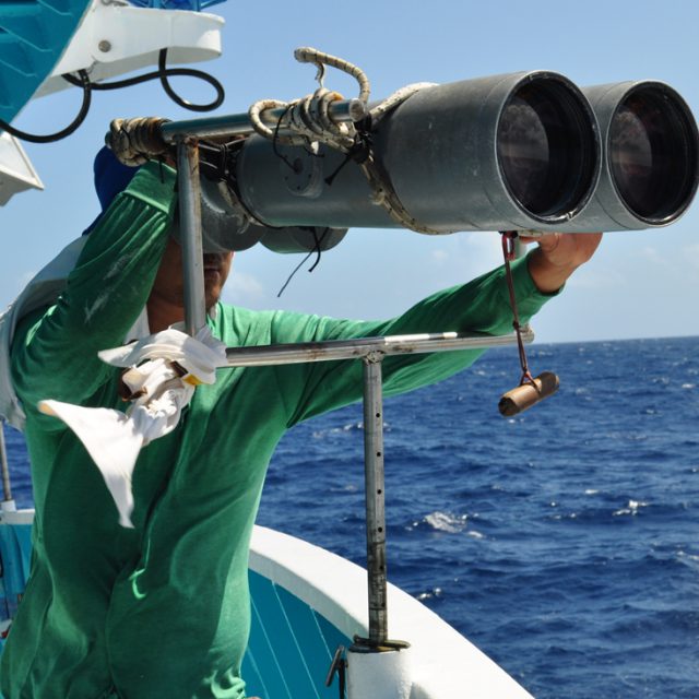 About Us – Tri Marine Group