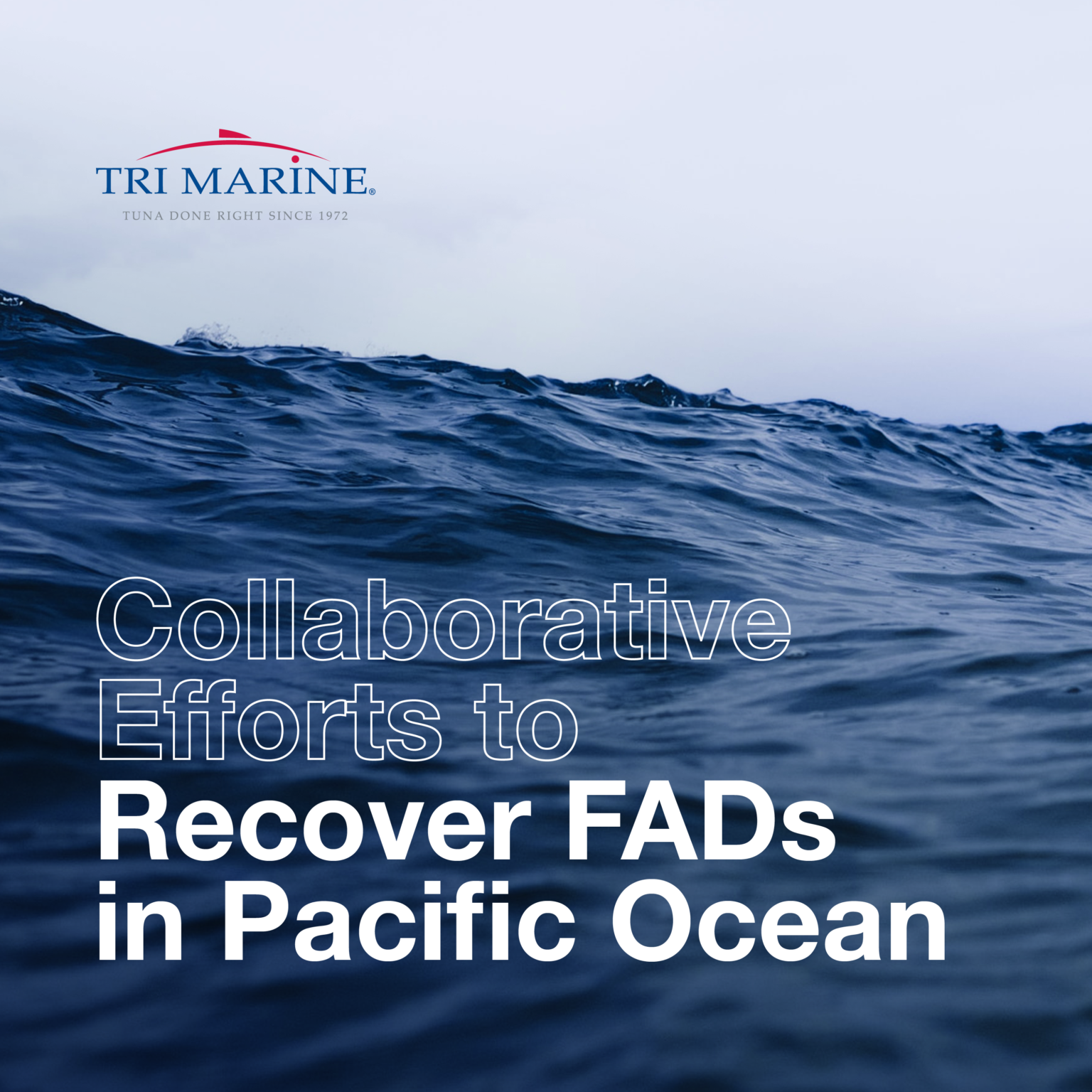 Tri Marine Group – Tuna Supply for Your Business